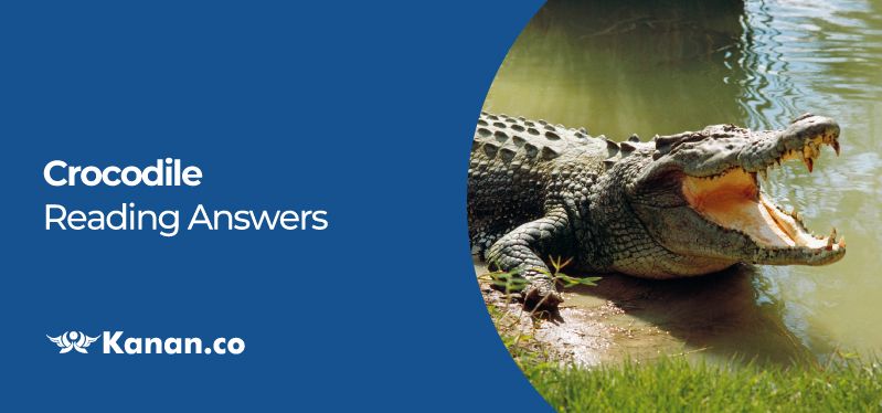 Crocodile Survives Reading Answers