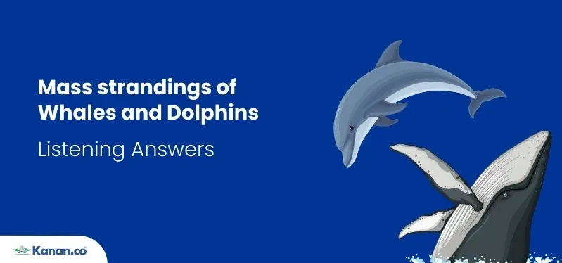 Mass Strandings of Whales and Dolphins IELTS Listening Answers ...