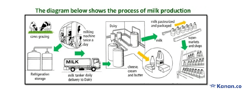IELTS writing task 1 sample answer