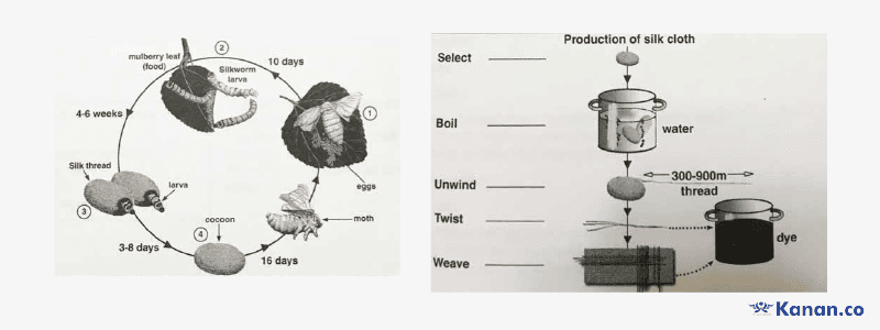 IELTS writing task 1 sample answer