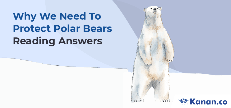 Why we need to protect polar bears reading answers